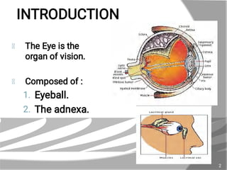 The Eye 2.pdf