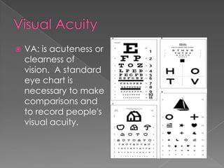 The Eye And Ear | PPT