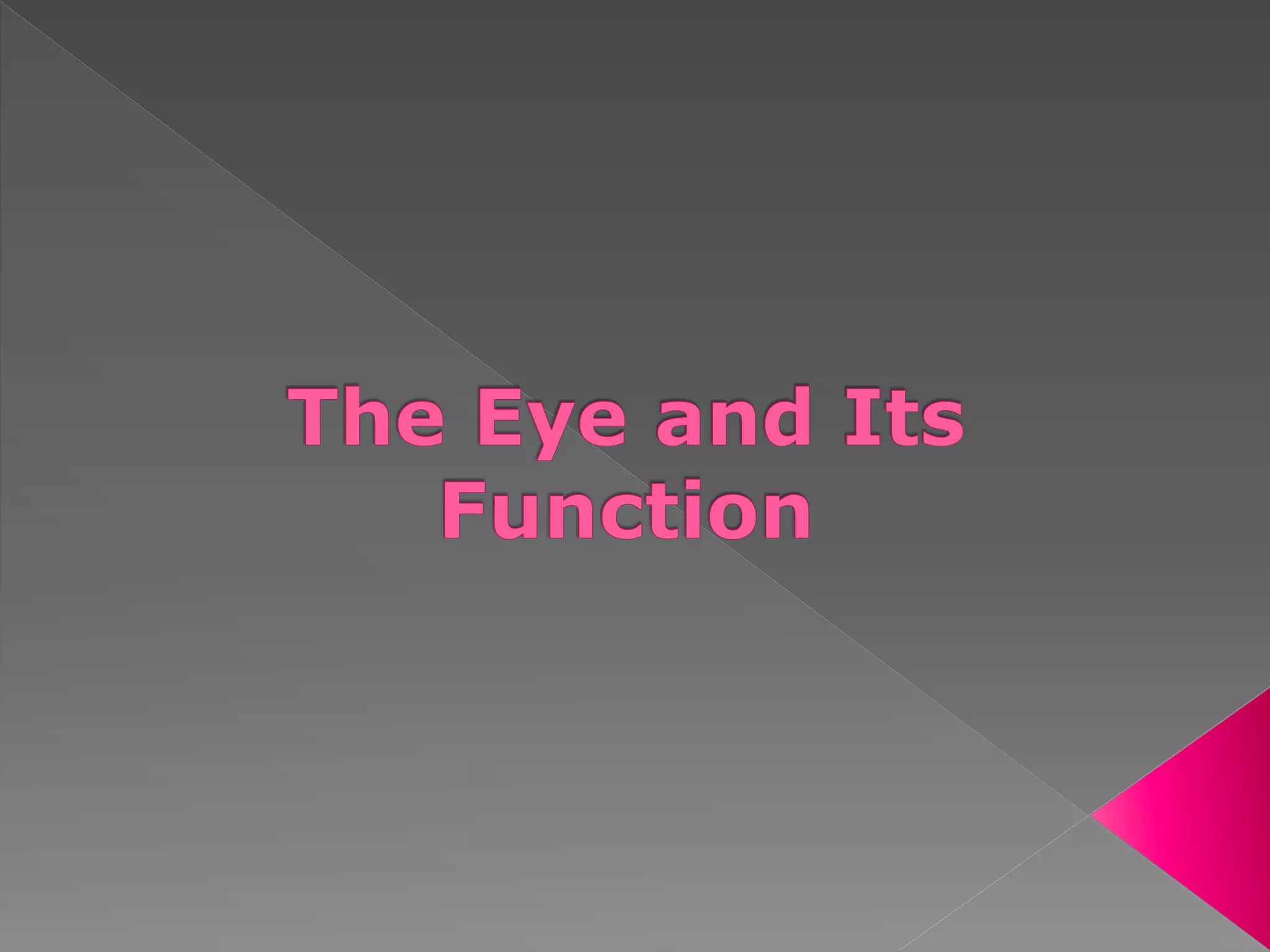 The Eye and its function | PPT
