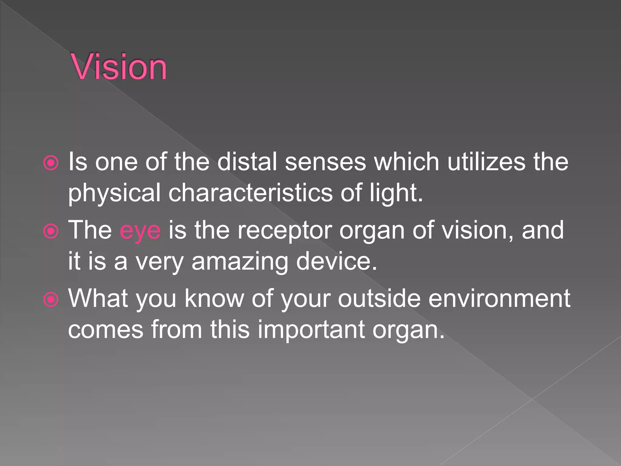 The Eye and its function | PPT