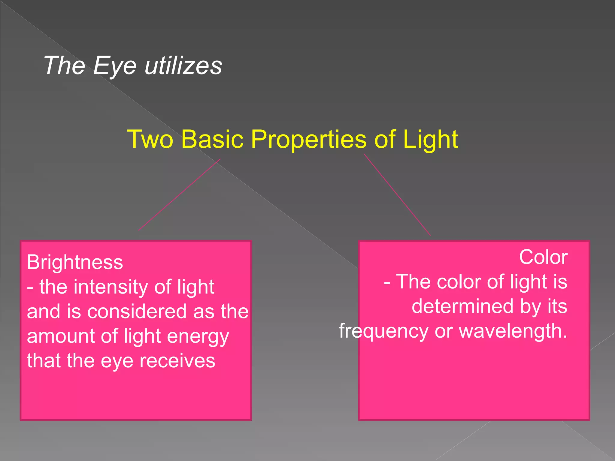 The Eye and its function | PPT