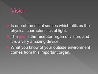 The Eye and its function | PPTX