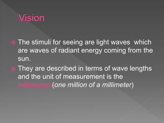 The Eye and its function | PPTX