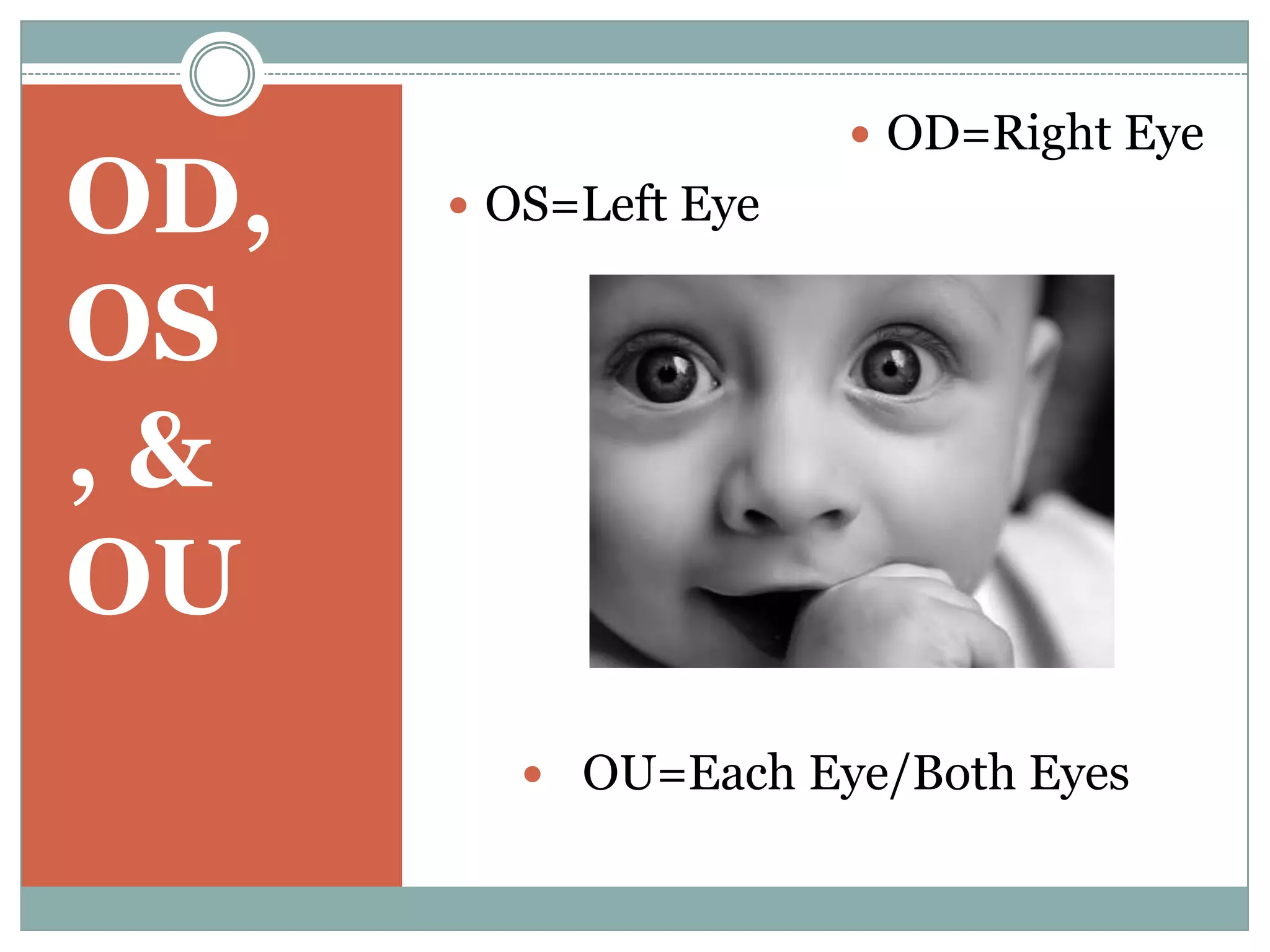 The eye and the ear | PPTX