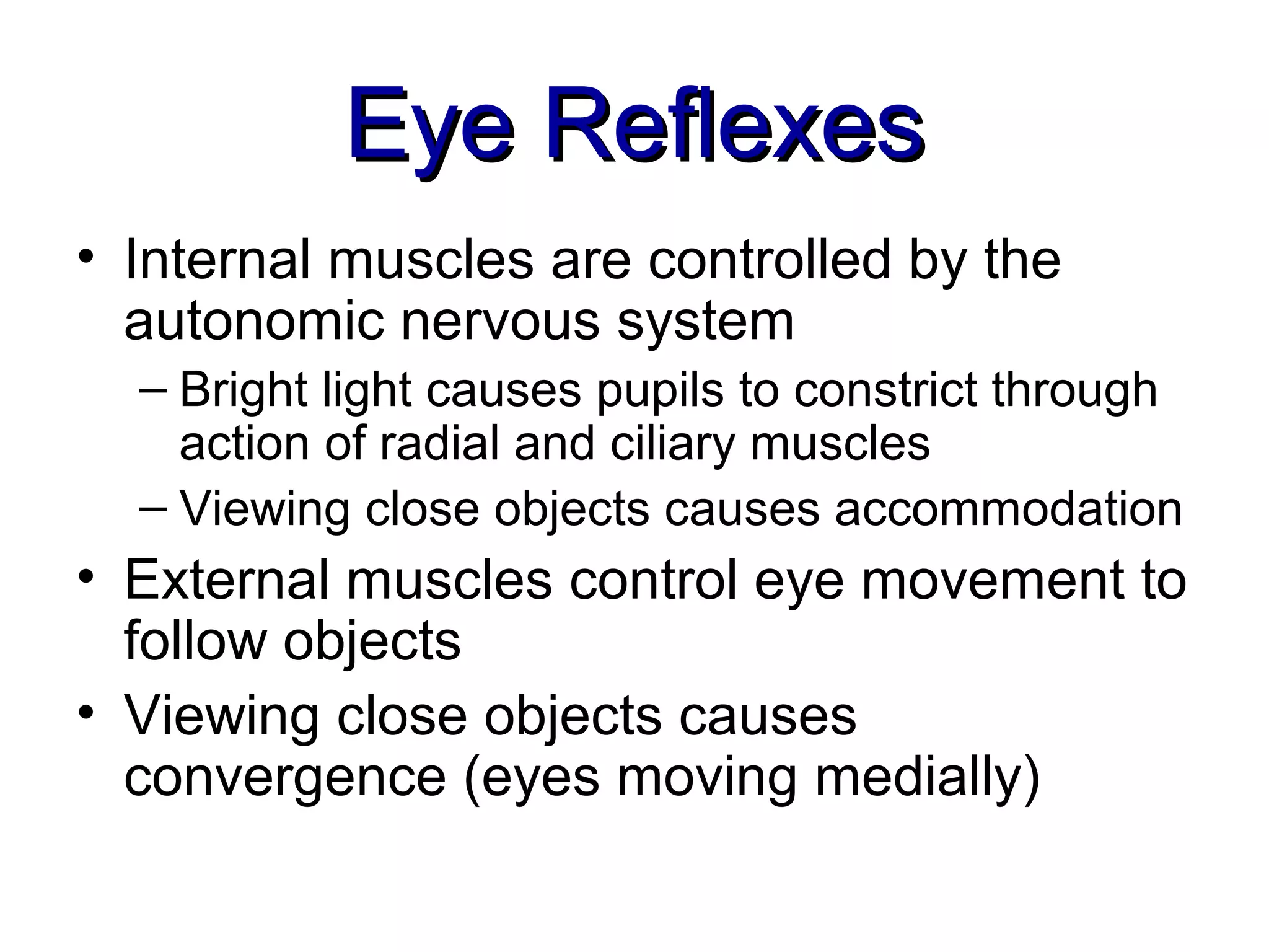 The eye and vision | PPT