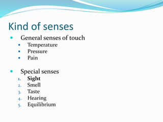 The eye and vision | PPT