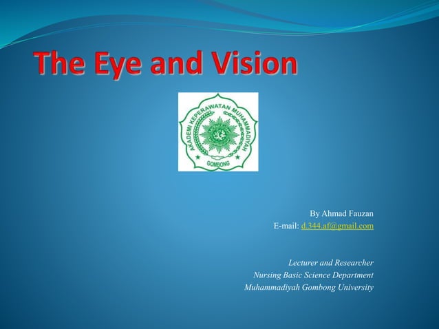 The eye and vision | PPT