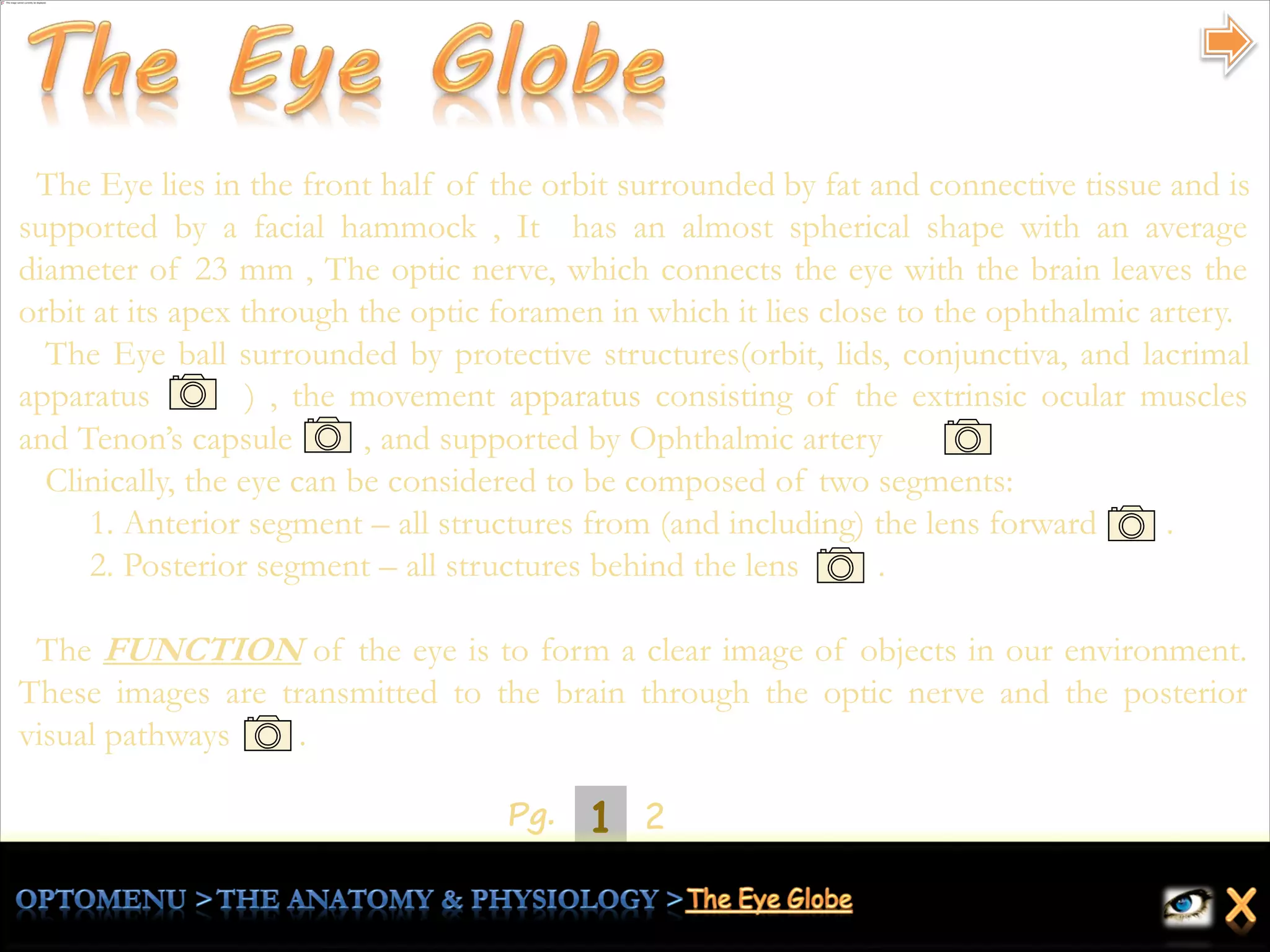 The eye atlas | PDF