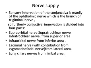 THE EYEBALL &conjuctiva anatomy in very easy way | PPT