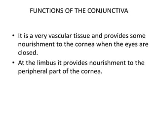 THE EYEBALL &conjuctiva anatomy in very easy way | PPT