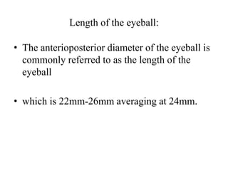 THE EYEBALL &conjuctiva anatomy in very easy way | PPT