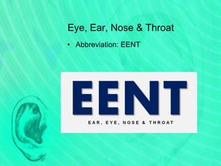 The Eye & Ear | PPTX