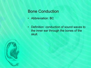 The Eye & Ear | PPTX