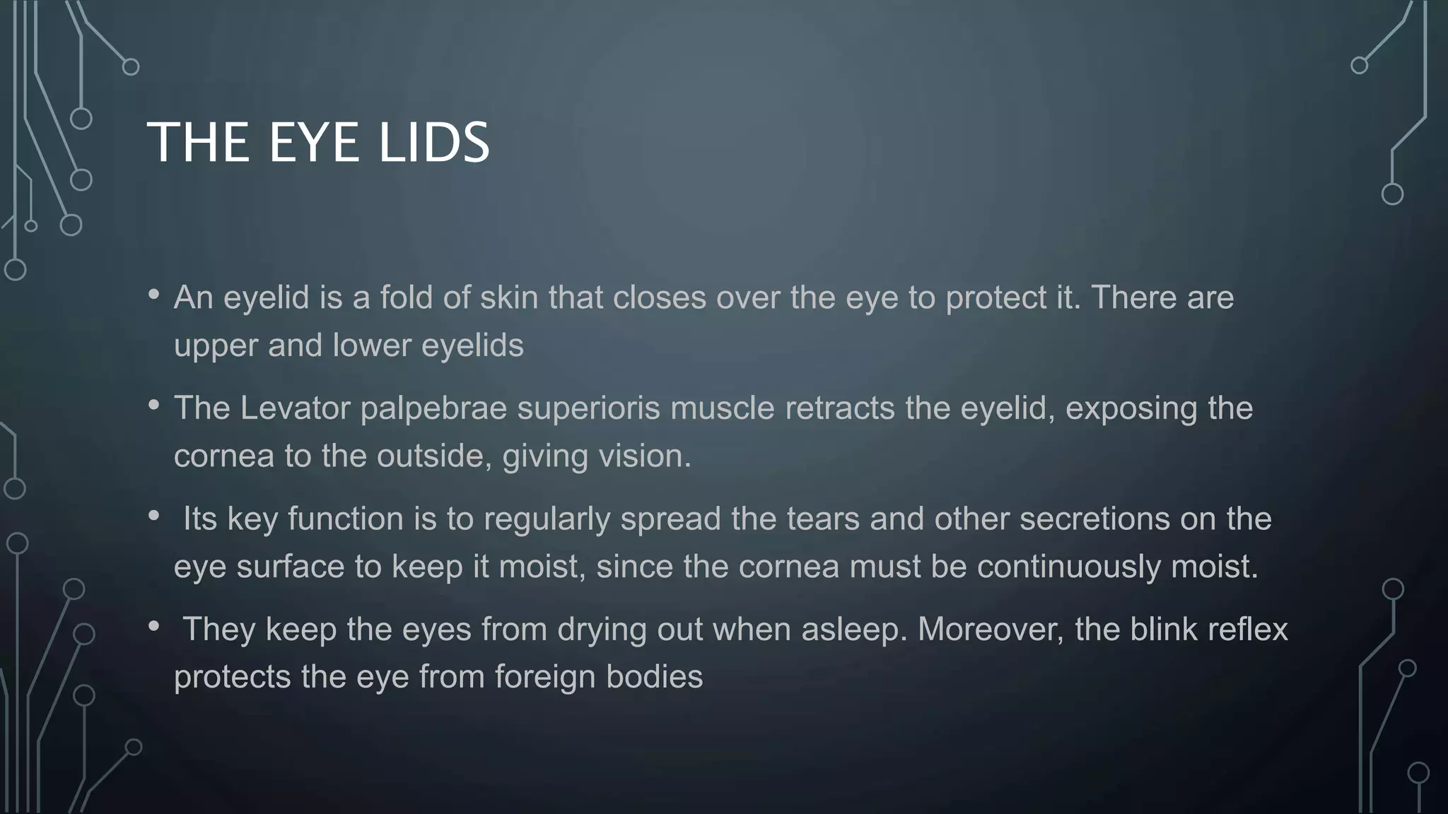 Eyelids and its Abnormalities | PPTX | Eye and Vision Conditions ...