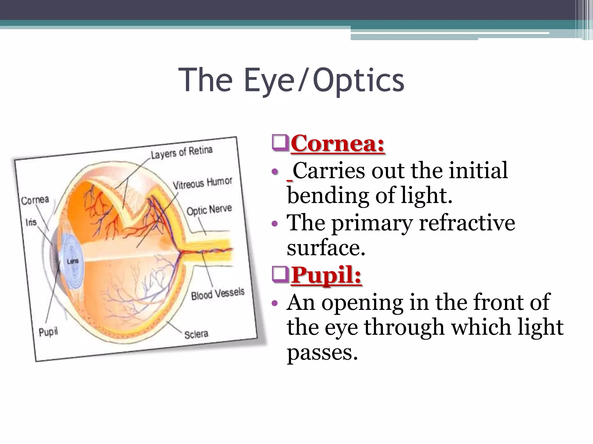 The Optics of Human Eye & Gallstrand schematic eye | PPTX