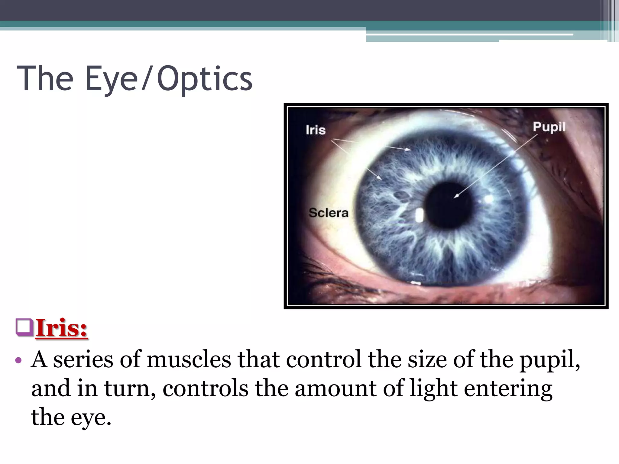 The Optics of Human Eye & Gallstrand schematic eye | PPTX