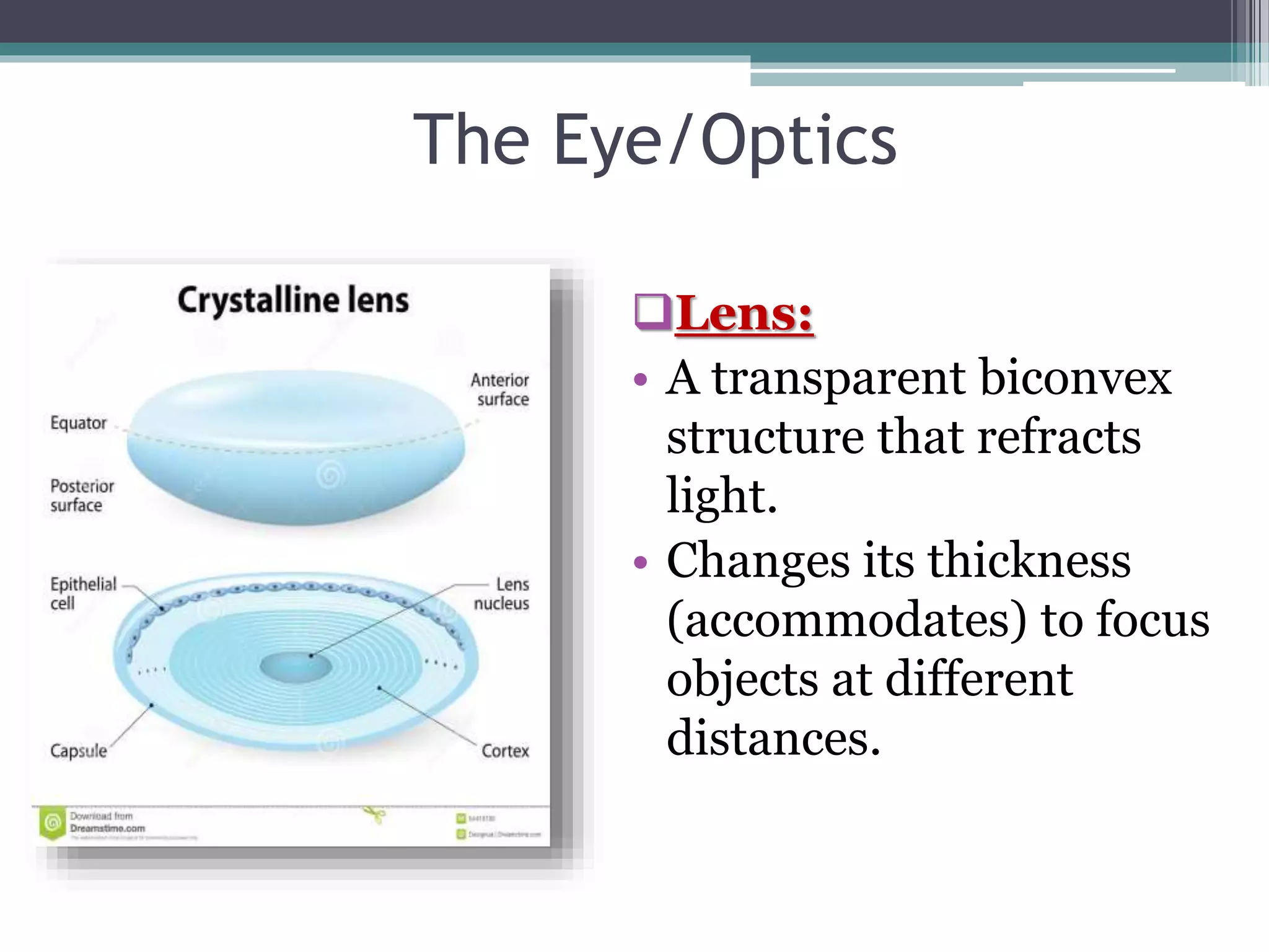 The Optics of Human Eye & Gallstrand schematic eye | PPTX