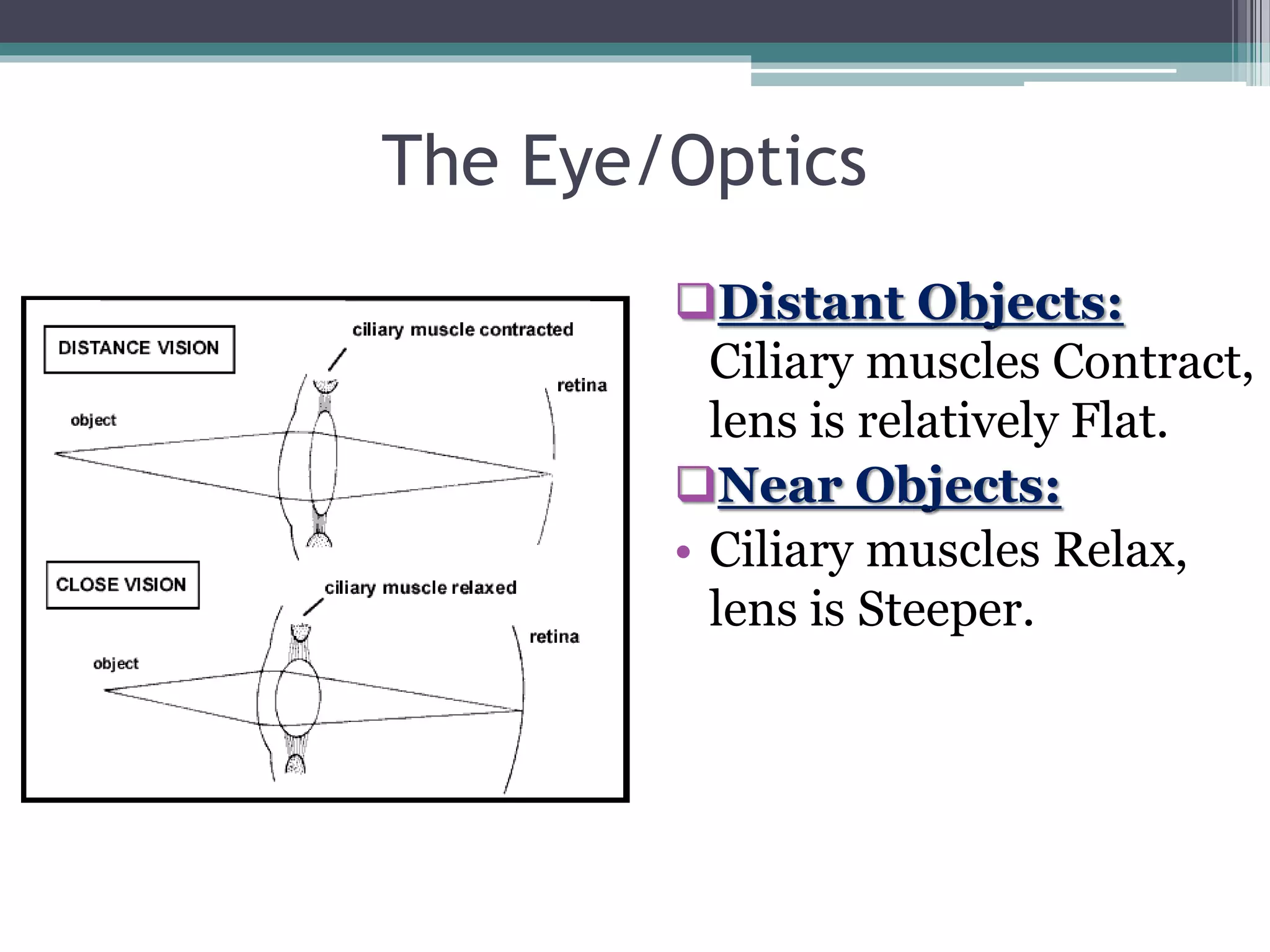 The Optics of Human Eye & Gallstrand schematic eye | PPTX