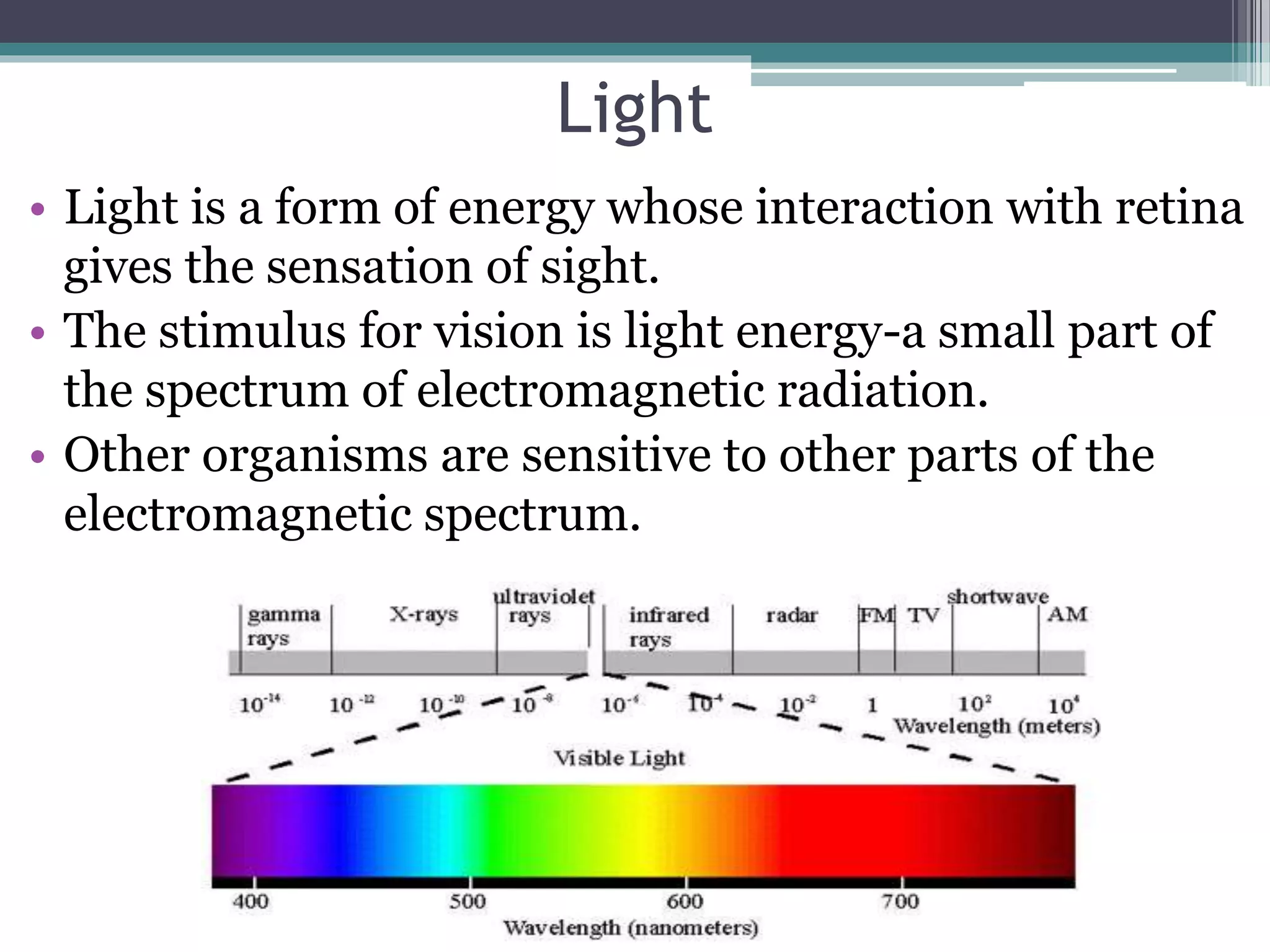 The Optics of Human Eye & Gallstrand schematic eye | PPTX