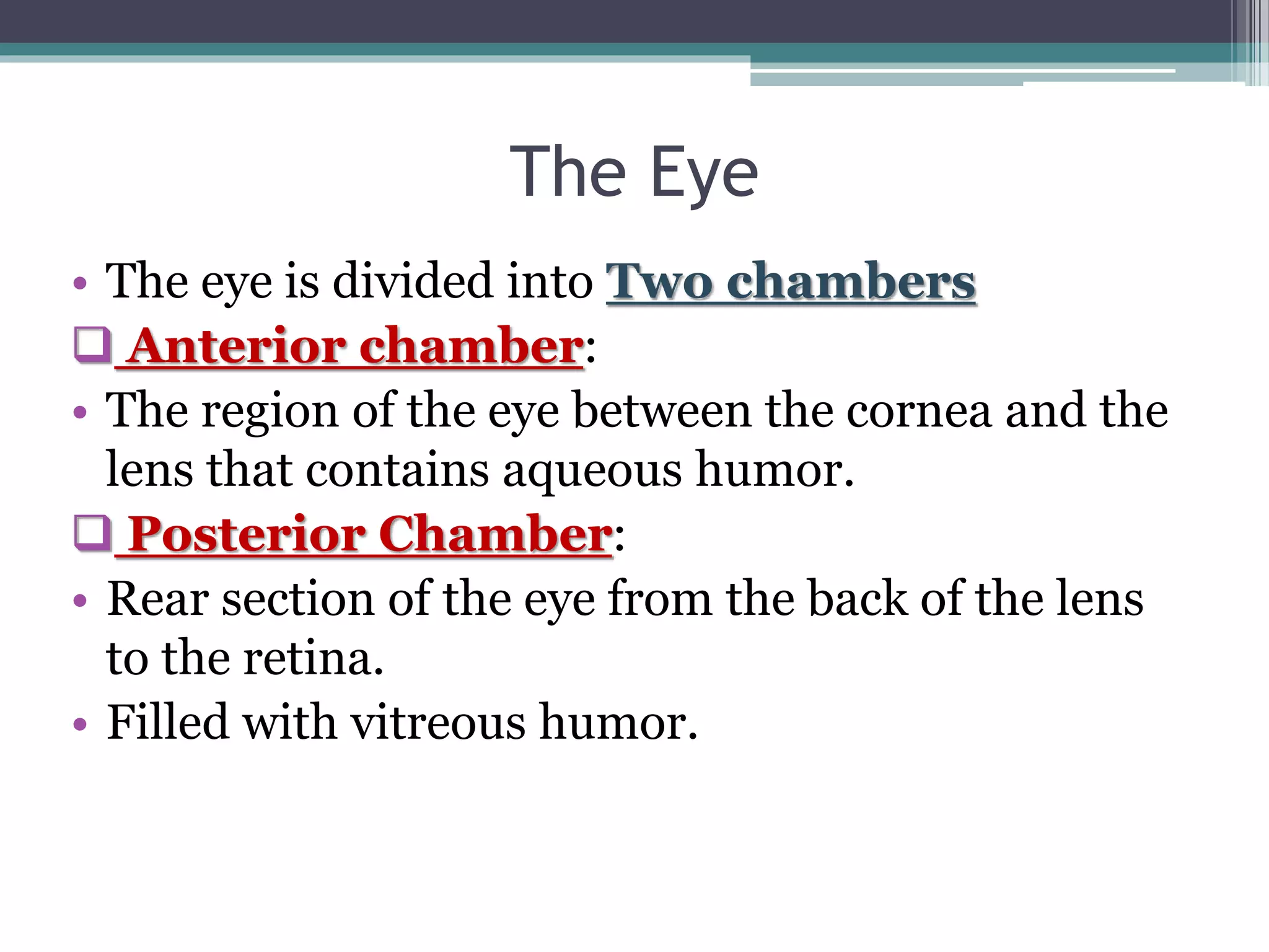 The Optics of Human Eye & Gallstrand schematic eye | PPTX