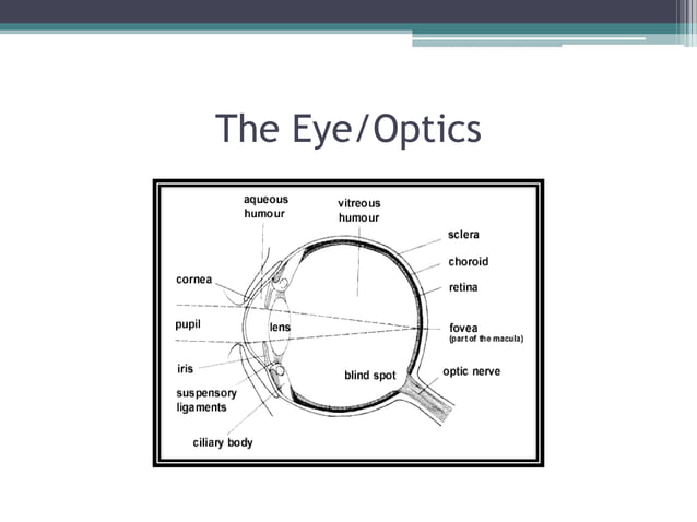 The Optics of Human Eye & Gallstrand schematic eye | PPTX