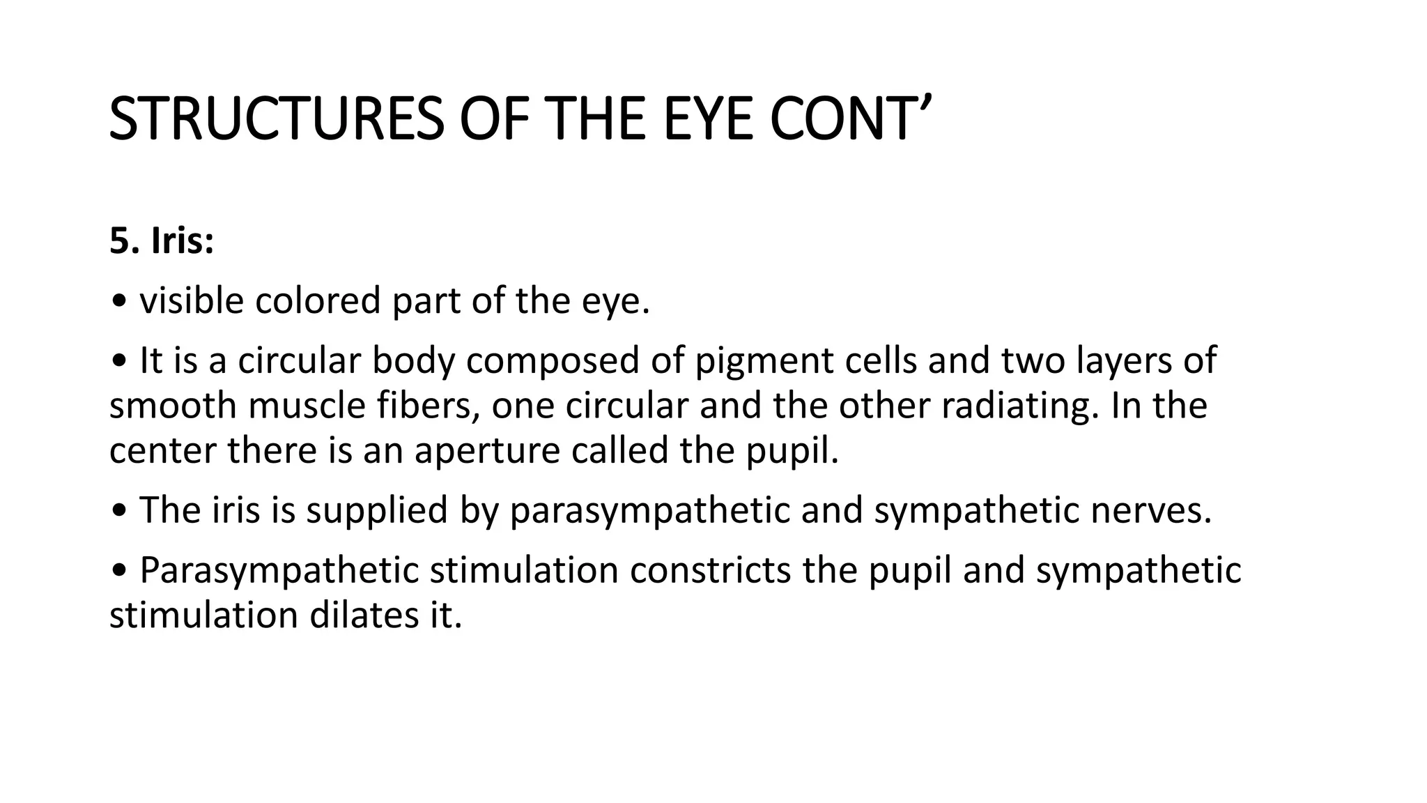 The eye (sense of sight organ) | PDF