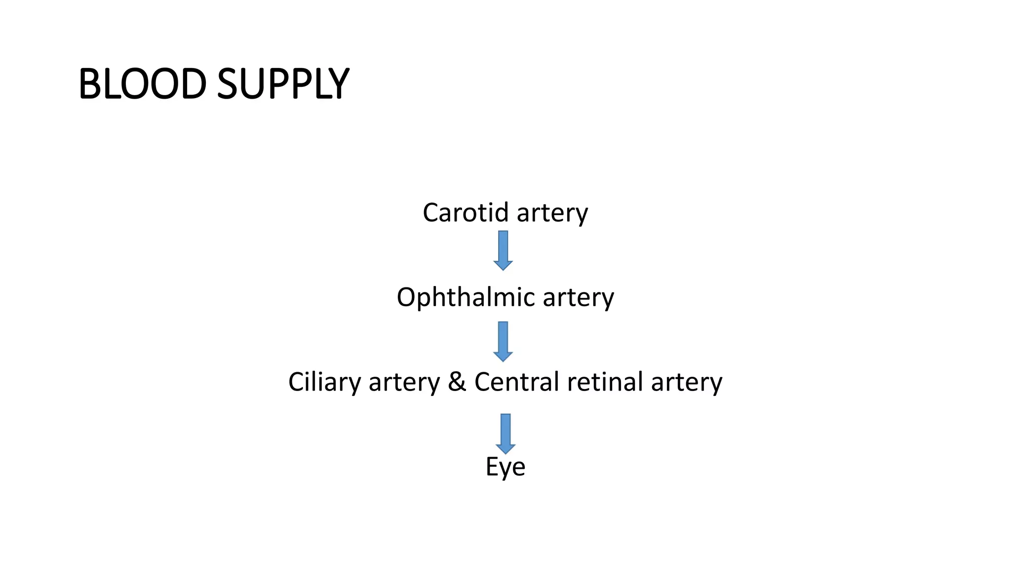 The eye (sense of sight organ) | PDF