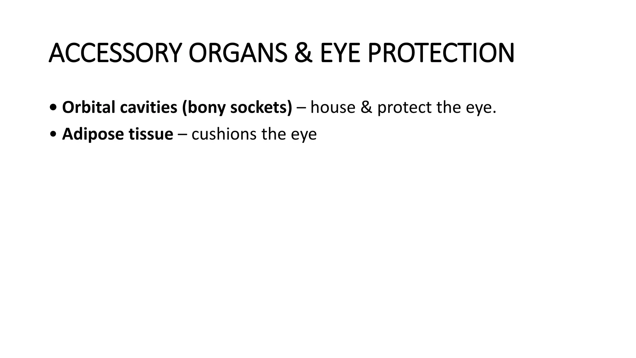The eye (sense of sight organ) | PDF