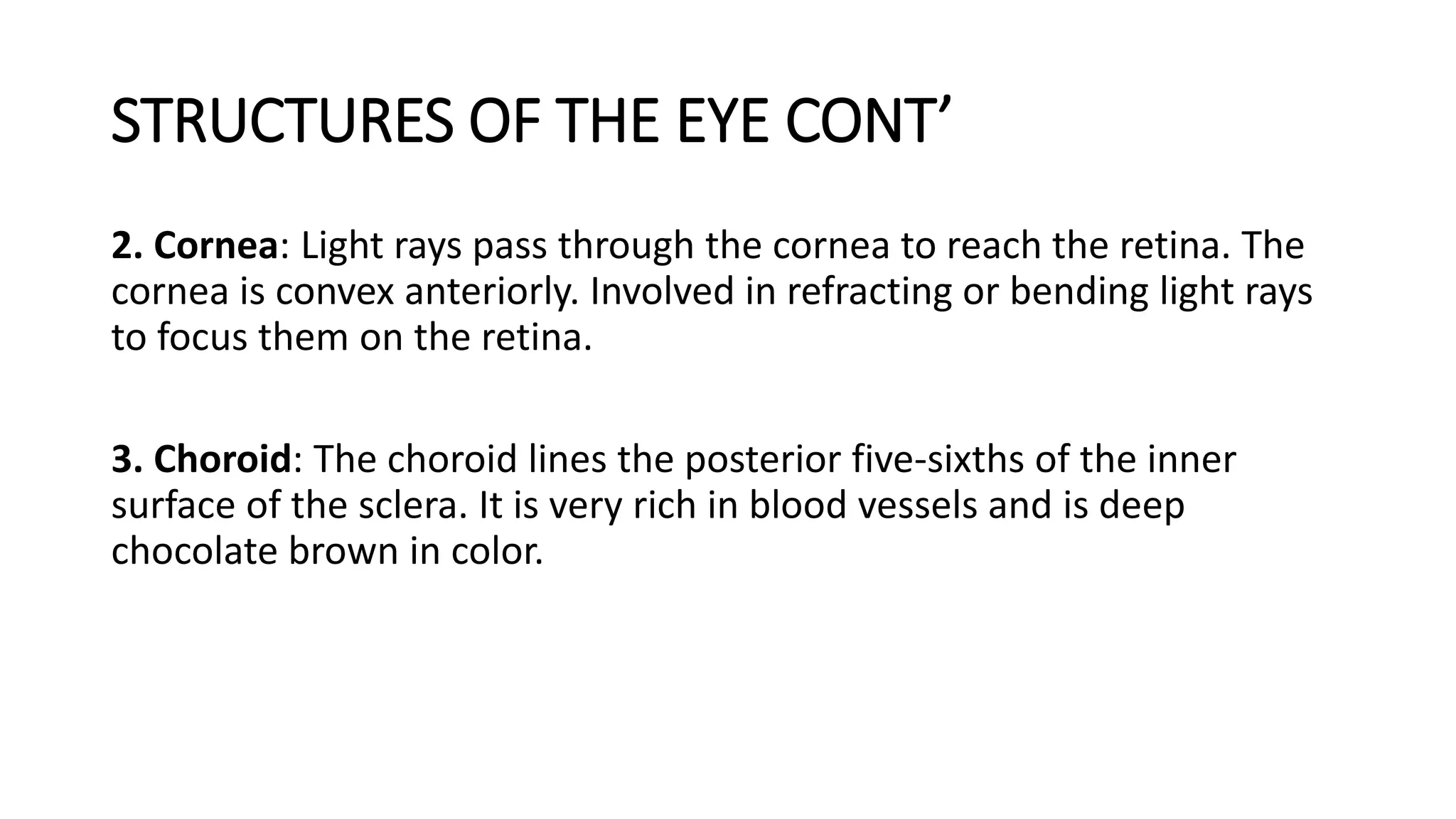The eye (sense of sight organ) | PDF