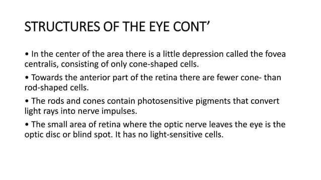 The eye (sense of sight organ) | PDF