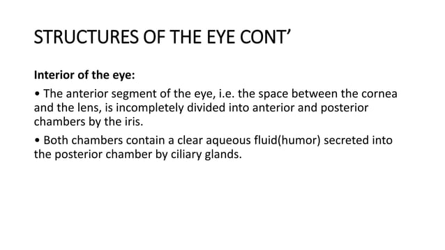The eye (sense of sight organ) | PDF