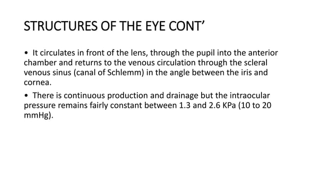 The eye (sense of sight organ) | PDF