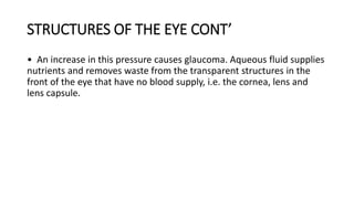 The eye (sense of sight organ) | PDF