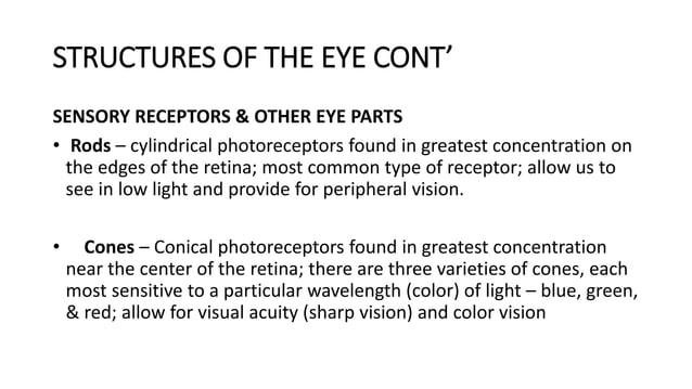The eye (sense of sight organ) | PDF