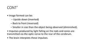 The eye (sense of sight organ) | PDF