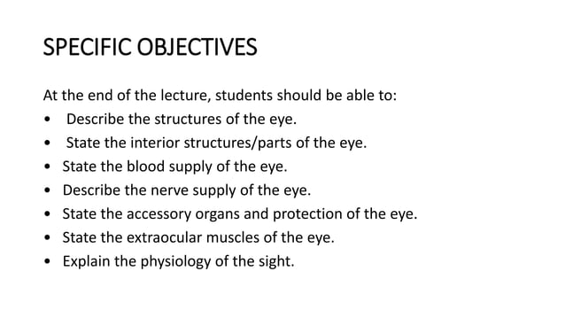 The eye (sense of sight organ) | PDF
