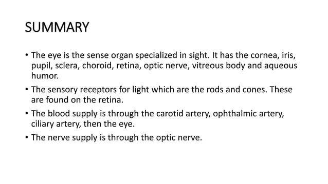 The eye (sense of sight organ) | PDF