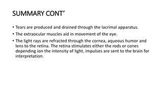 The eye (sense of sight organ) | PDF