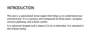 The eye (sense of sight organ) | PDF