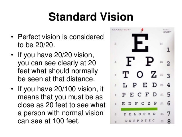 Eye Anatomy Eye Anatomy