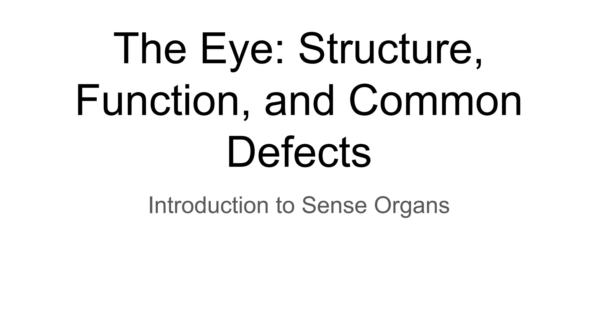 The Eye Structure, Function, and Common Defects.pdf