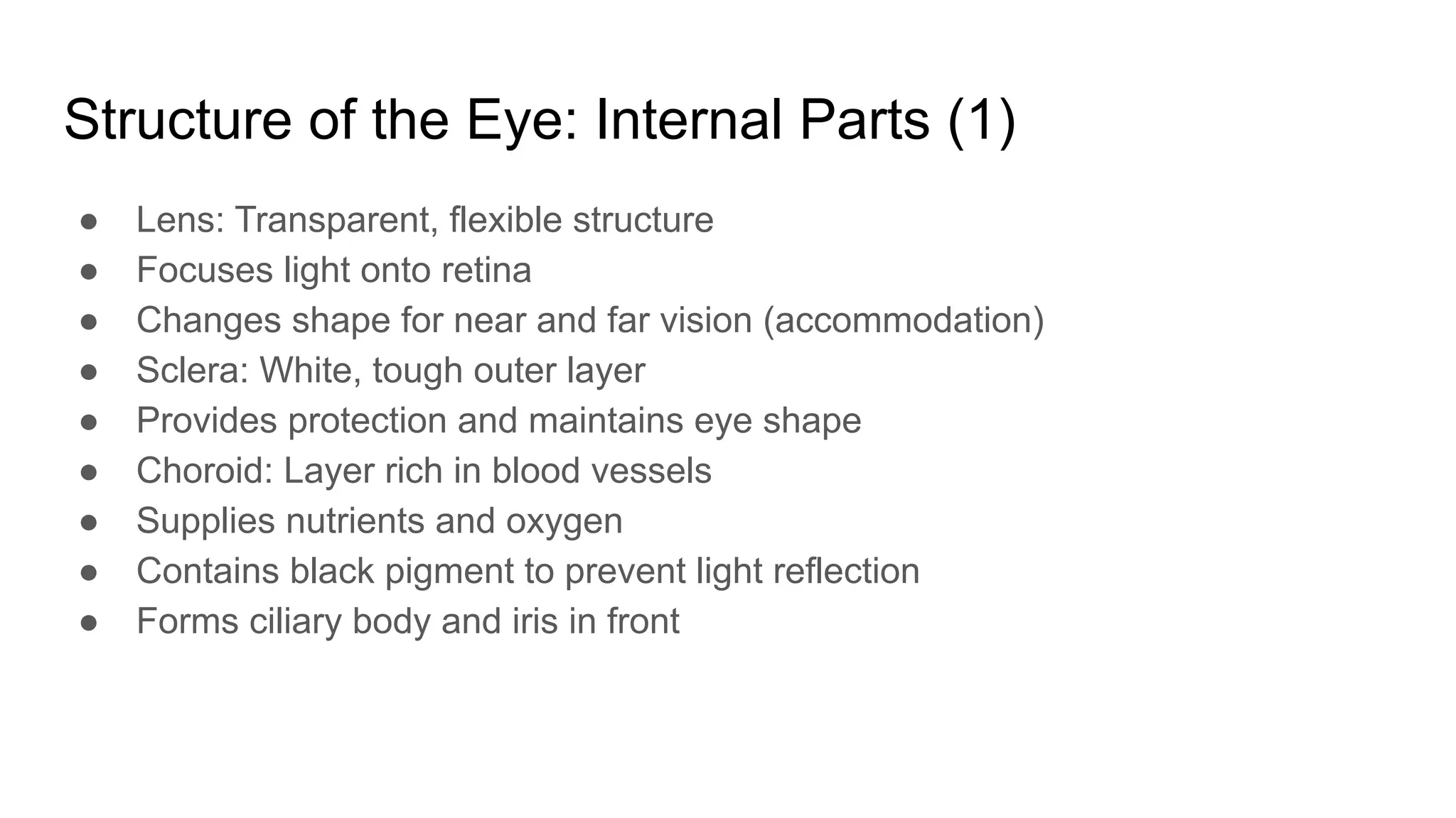 The Eye Structure, Function, and Common Defects.pdf