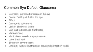 The Eye Structure, Function, and Common Defects.pdf