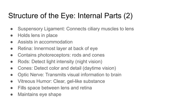 The Eye Structure Function And Common Defects Pdf