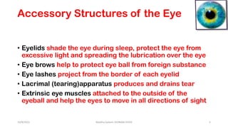 DOW BSN A&P II Unit 04 The eye & vision.pdf