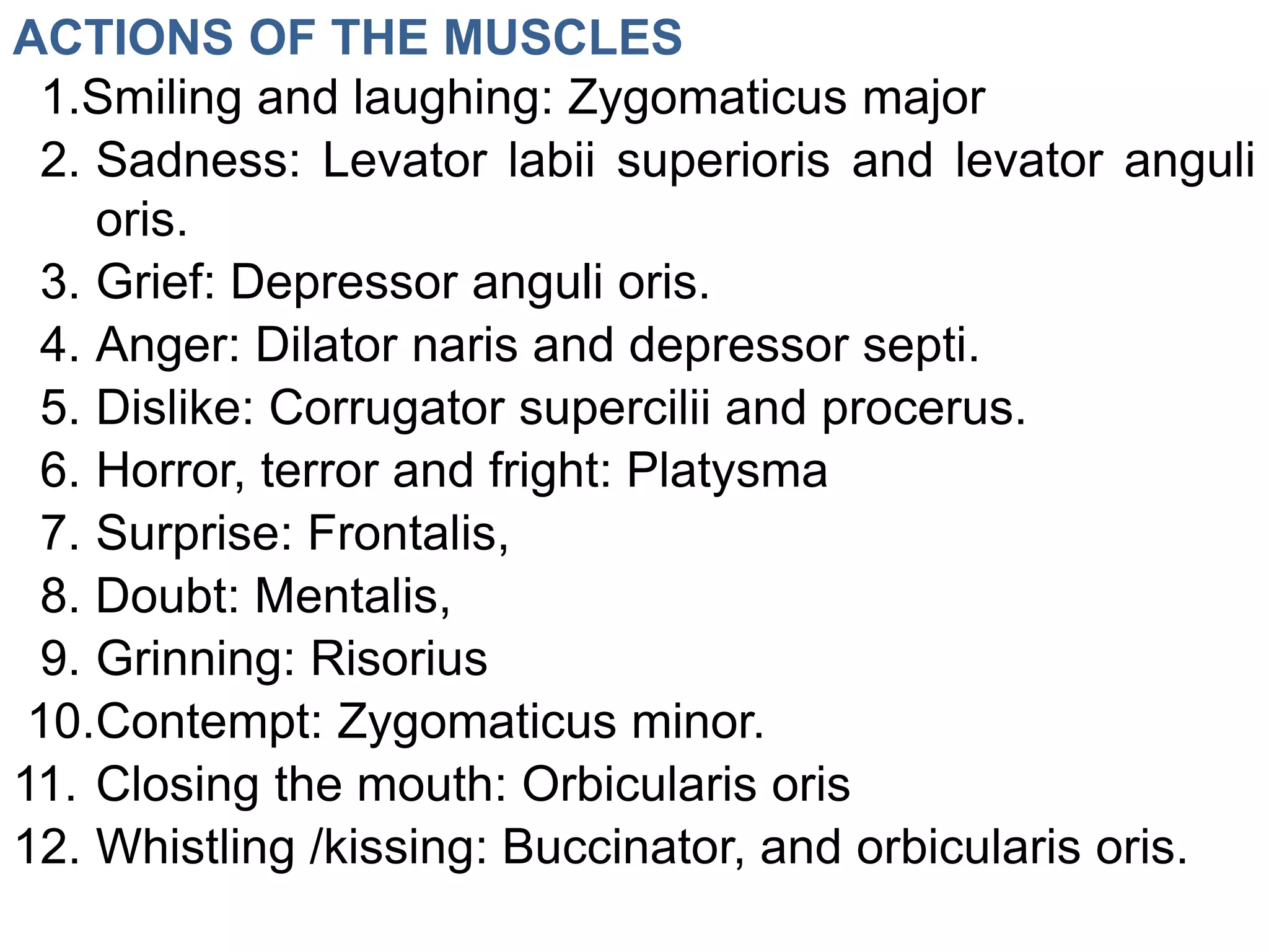 The face anatomy | PPTX