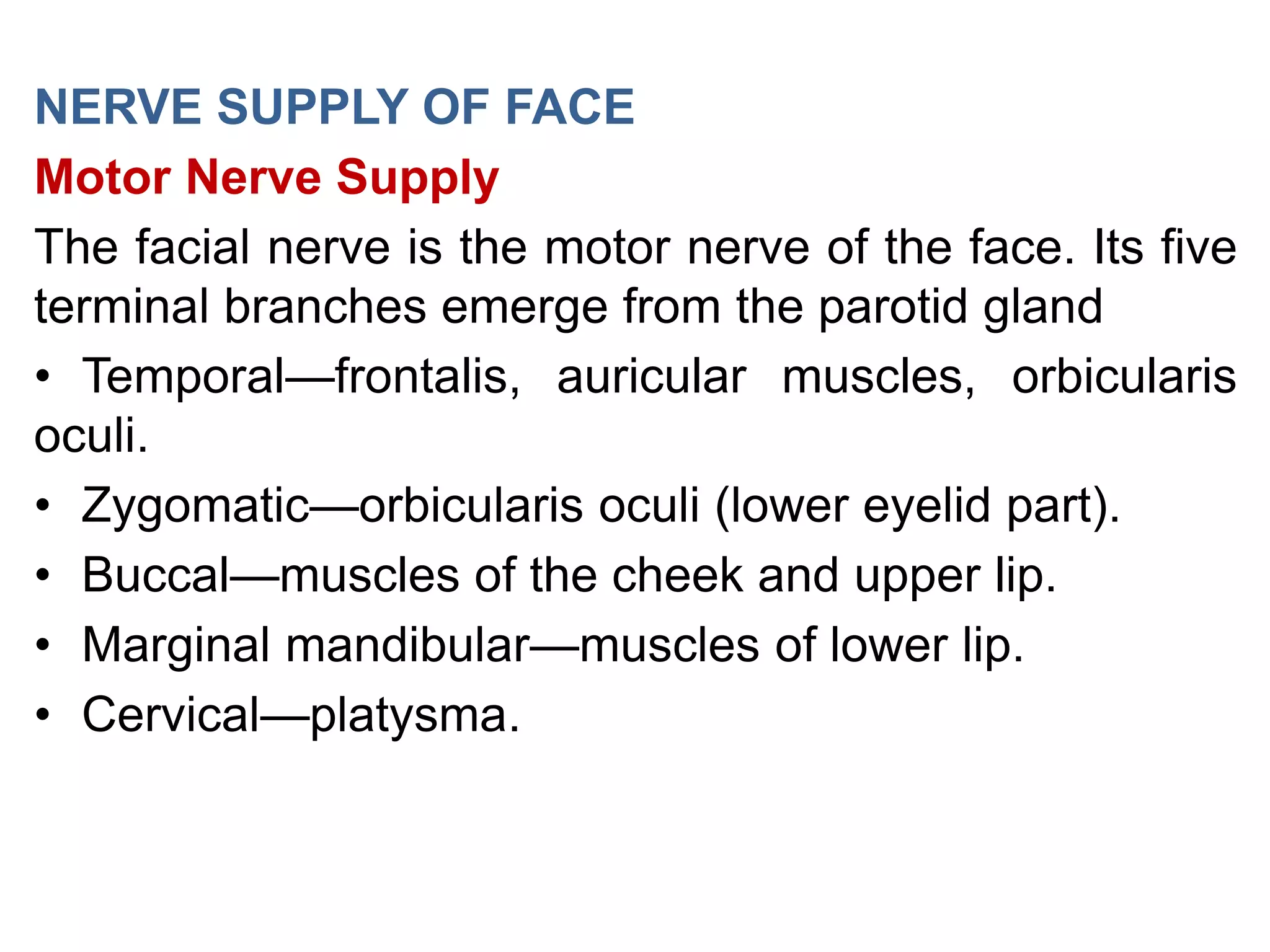 The face anatomy | PPTX