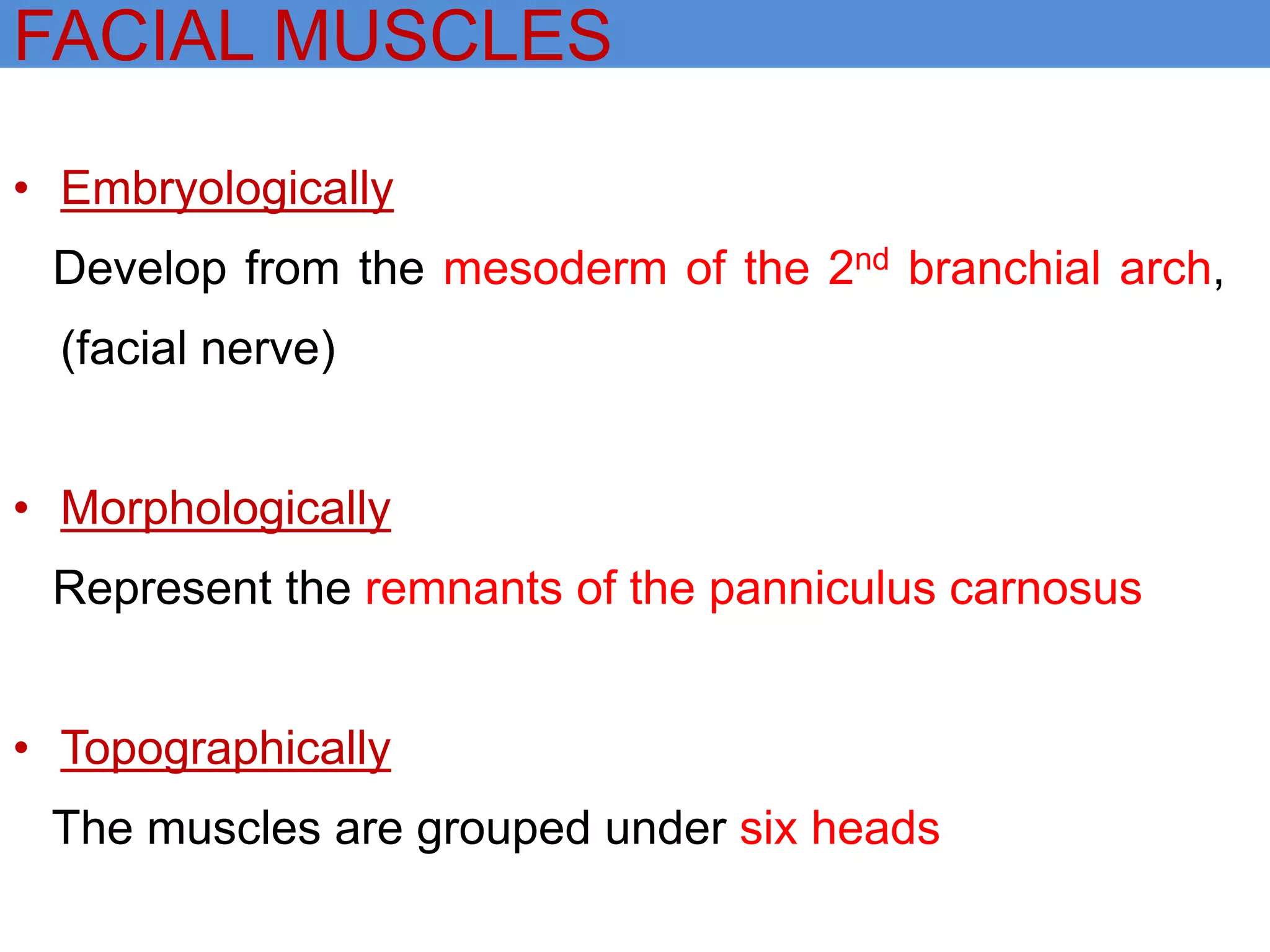 The face anatomy | PPTX