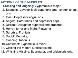 The face anatomy | PPTX