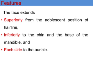 The face anatomy | PPTX